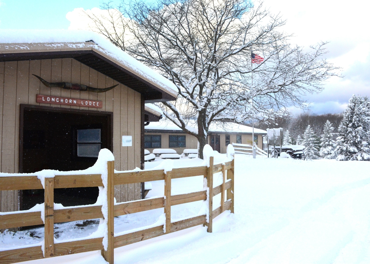 Happy New Year - WLD Ranch